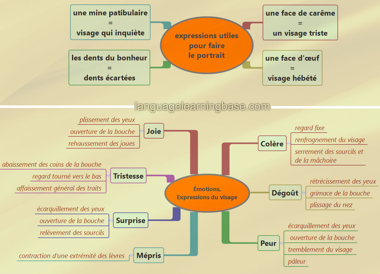 Faire le portrait d'une personne en français. Le caractère, les gestes ...