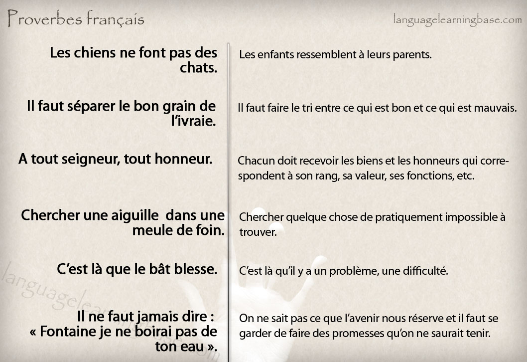 Proverbes français les plus courants - learn French,quotes,french